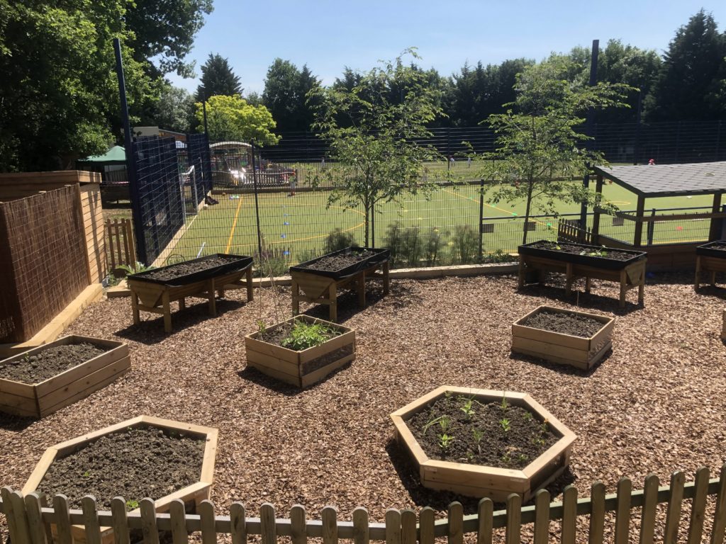 Allotment Area - Merton Court Prep School