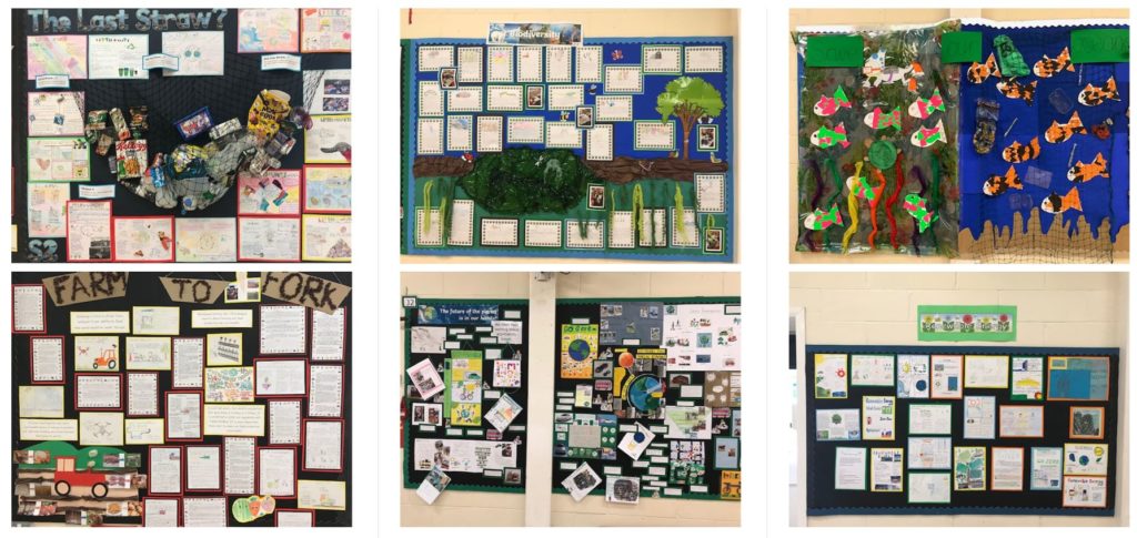 Science Term - Hall Displays - Merton Court Prep School